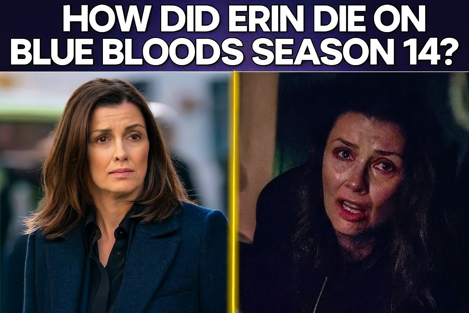How Did Erin Die on Blue Bloods Season 14? - ActWitty